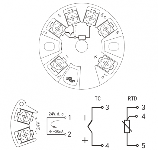 temperature transmitter module HART, head mounted temperature ...