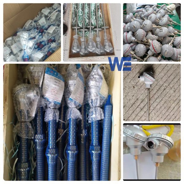 explosion-proof RTD, explosion proof RTD sensor, PT100 temperature ...