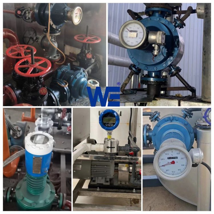 Heavy Oil Flow Meter | Wepower